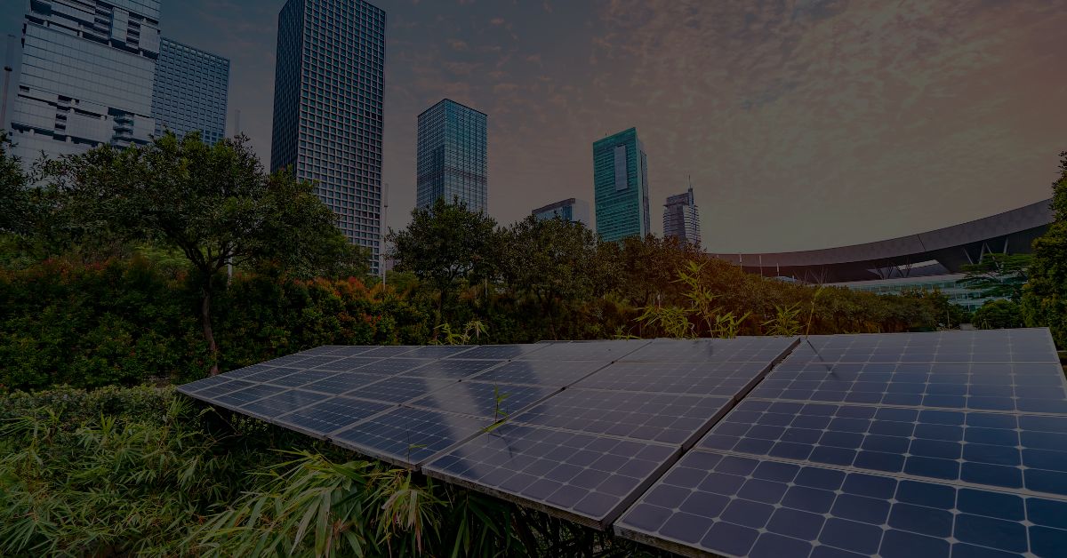 Sustainability in the Hotel Industry: How Hotels Are Getting Greener ...